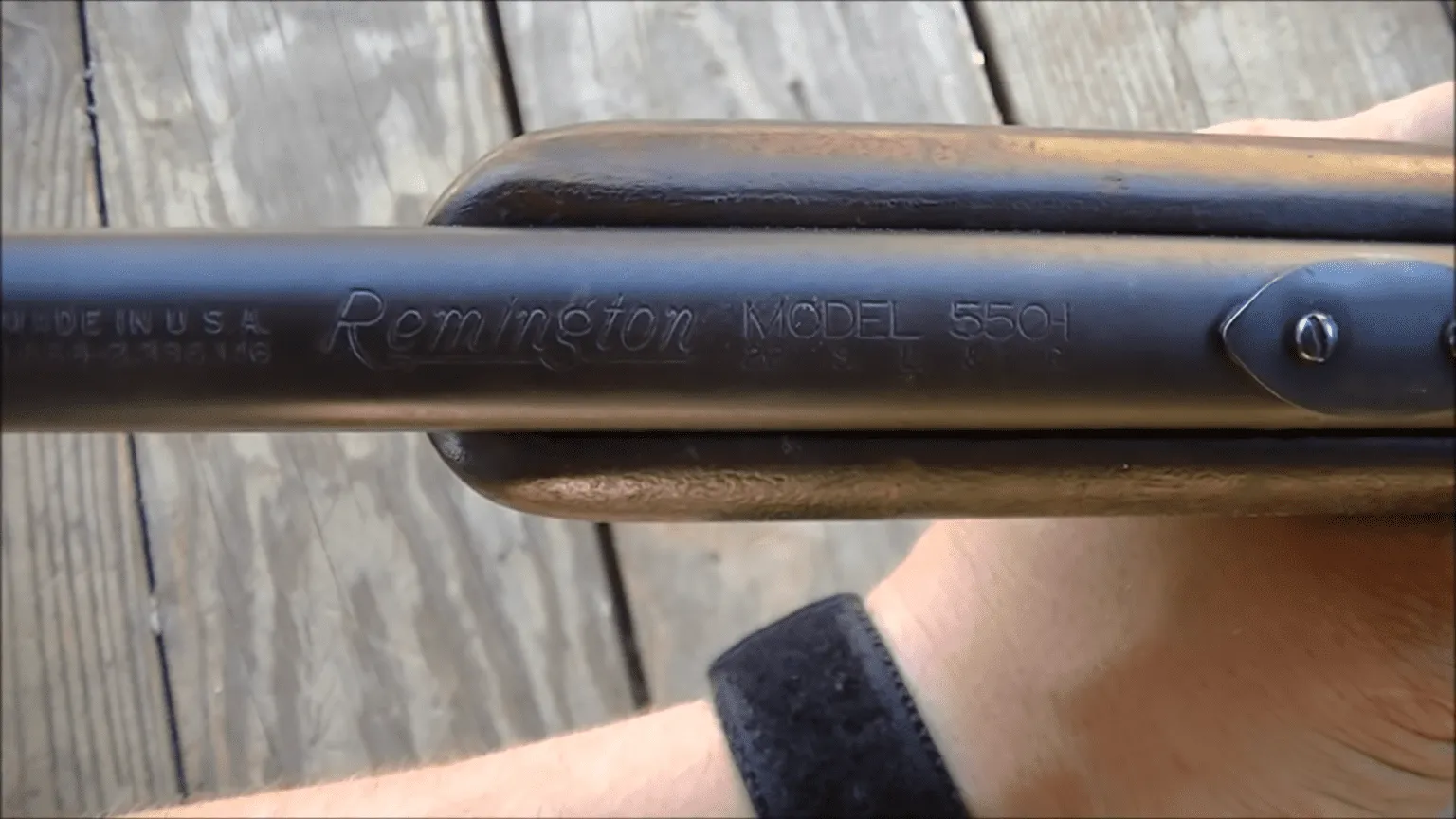 Remington 550-1 Review: A Classic .22 Rifle [2024]