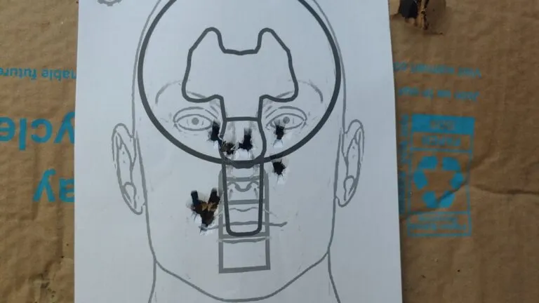 Sig P365 X-Macro Review: A Huge Change in The Carry Game