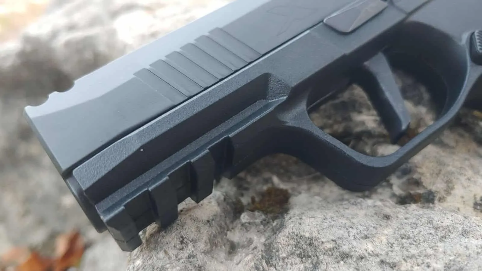 Sig P365 X-Macro Review: A Huge Change in The Carry Game