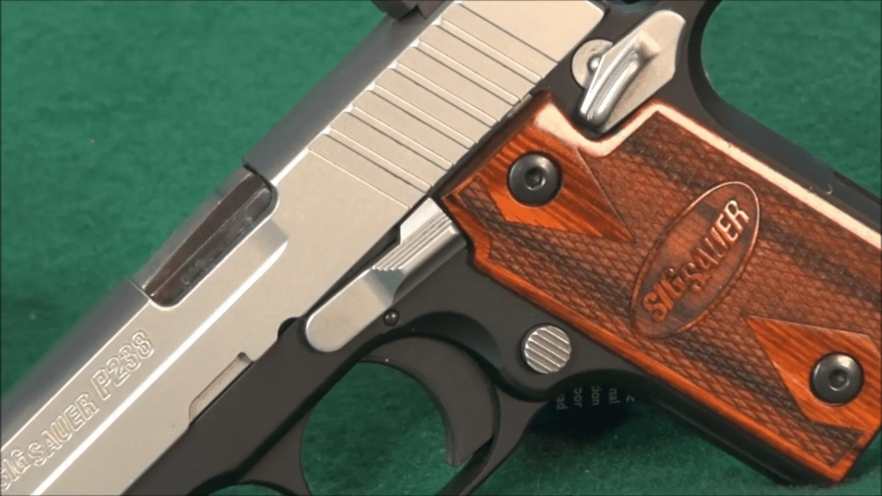 SIG Sauer P238 Review With Photos [2024]