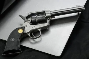 5 Best .22 LR Revolvers [2024]: Wheel Guns For Plinking