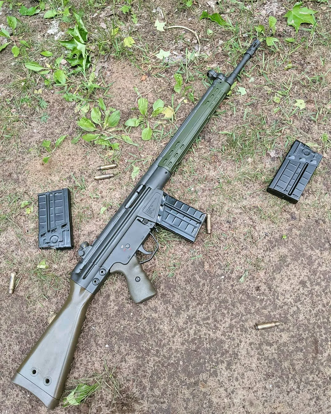 6 Best Battle Rifles [2024]: Rifles You Can Stake Your Life On