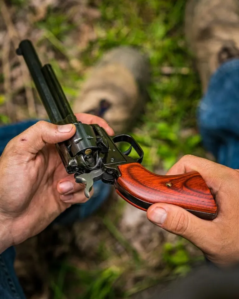 7 Best Budget Revolvers In 2024