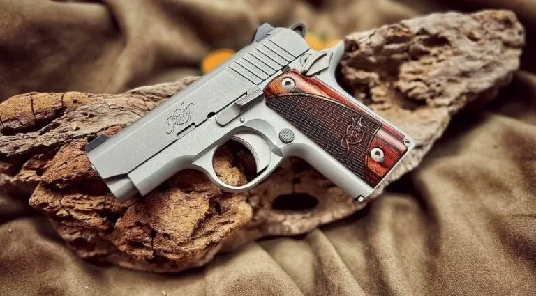 8 Best Pocket Pistols in 2024
