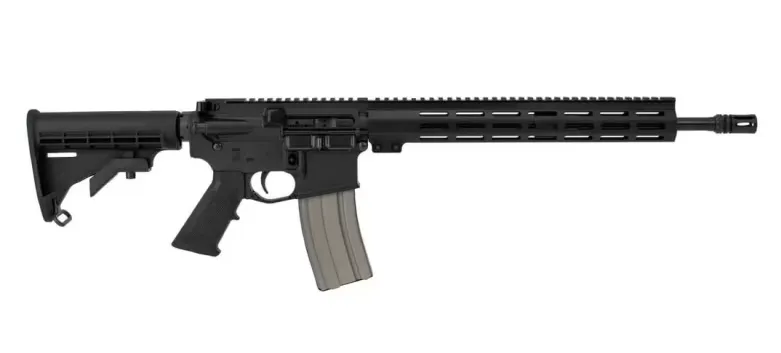 Del-Ton Echo 316L Optic Ready Review: How This Budget AR-15 Stacks Up