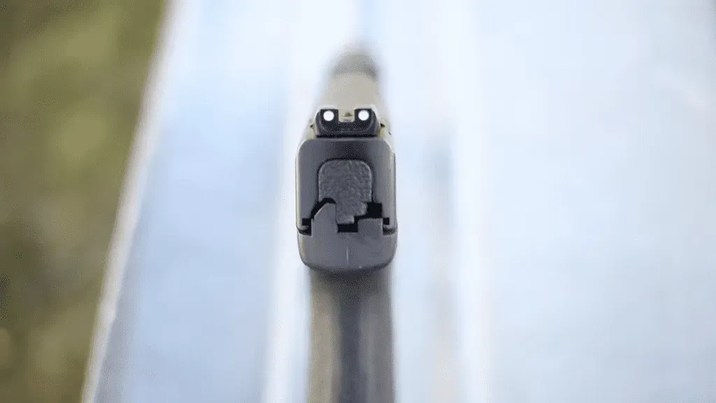 Smith & Wesson M&P9 Shield Plus Review & Photos [2024]